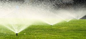 Drip Irrigation System vs. Sprinkler System: How to Make a Choice ...