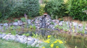 How to Dig a Pond by Hand in 8 Steps – Landscapingplanet – Learning to ...