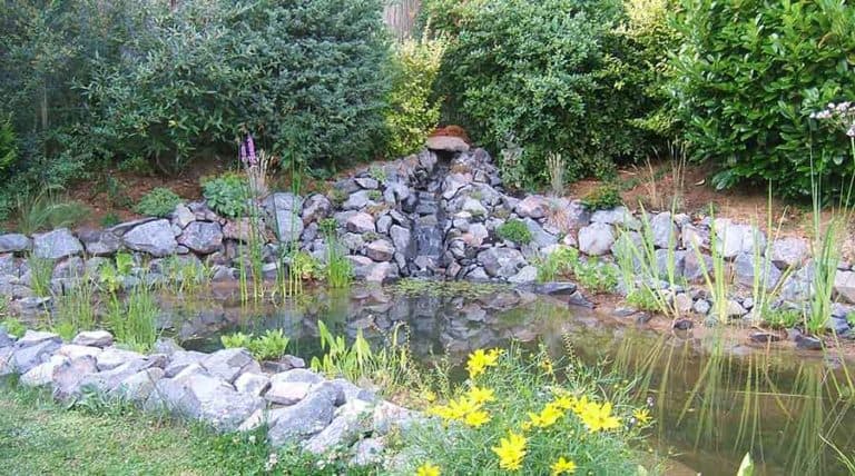 How to Dig a Pond by Hand in 8 Steps – Landscapingplanet – Learning to ...