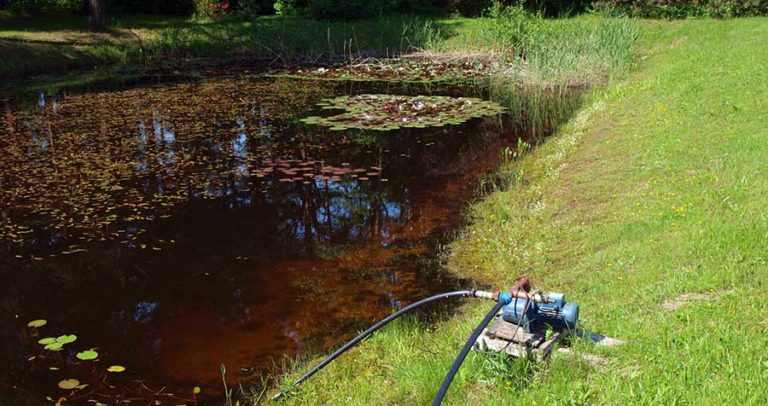 How to Dry Out a Pond in 5 Simple Steps – Landscapingplanet – Learning ...