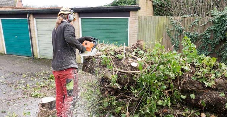 11 Effective Ways to Lift a Fallen Tree – Landscapingplanet – Learning ...