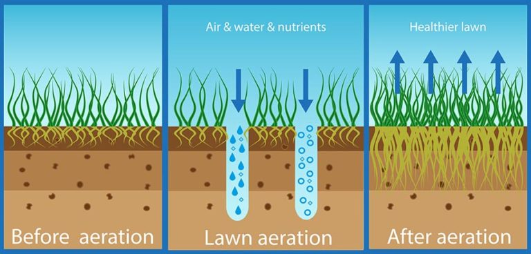 This Is How Lawn Aeration Works – Landscapingplanet – Learning to ...