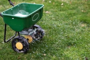 How To Apply 13-13-13 Fertilizer To Your Lawn? (The Right Way) – Landscapingplanet – Learning to ...