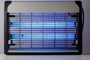 Are Gnats Attracted to Light? Here Is How To Catch Them – Landscapingplanet – Learning to create ...