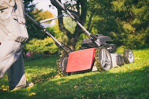 The Right Lawn Mower Size for Your Lawn: A Detailed List ...